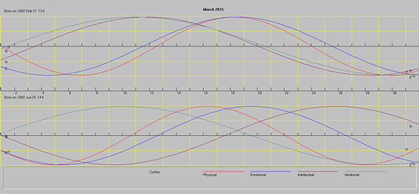 Biorhythms Chart